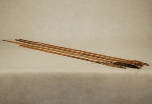 Flecha – Brasiliana Museus