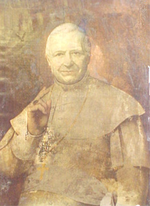 Papa Pio Ix – Brasiliana Museus